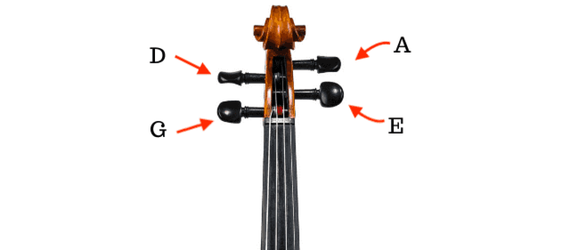How to Tune a Violin: The Secrets Of The Master Violin Tuners with Step ...